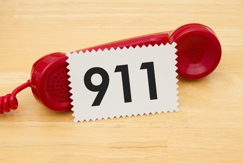 Public Safety Crime Reporting — RNRA Chicago