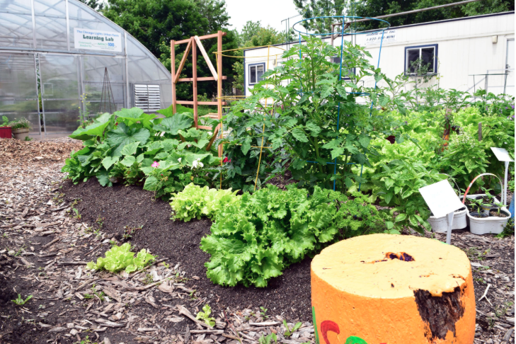 Chicago Lights Urban Farm Stand Open Every Saturday May through ...