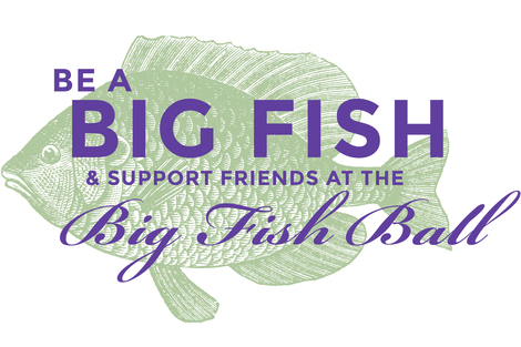 Big Fish Ball – Friends of the Chicago River — RNRA Chicago