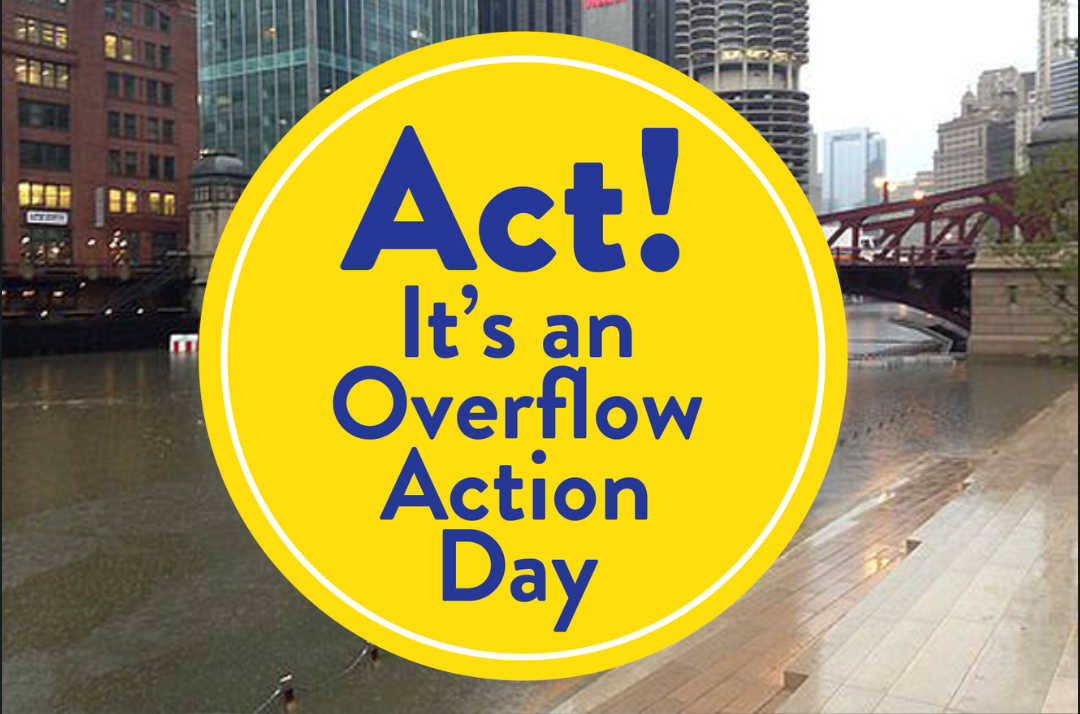 Overflow Action Alert – Please take action — RNRA Chicago